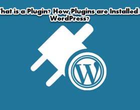 How To Install And Customize Themes In WordPress EInfoDesk