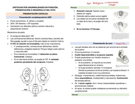 Solution Distocias Por Anormalidades En La Posici N Presentaci N O
