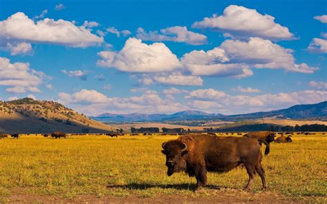 American Landscape Wallpapers Top Free American Landscape Backgrounds