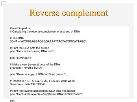 Programming In Bioinformatics Bioperl Ppt Download