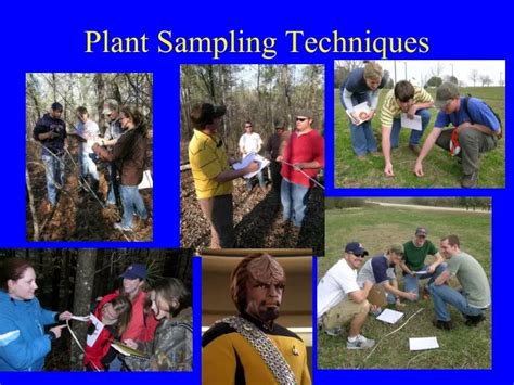 Ppt Plant Sampling Techniques Powerpoint Presentation Free Download Id 9180571