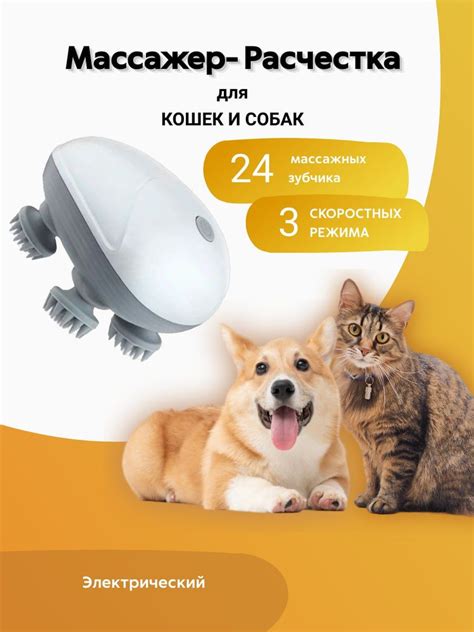 Массажер для кошек и собак купить с доставкой по выгодным ценам в интернет магазине Ozon