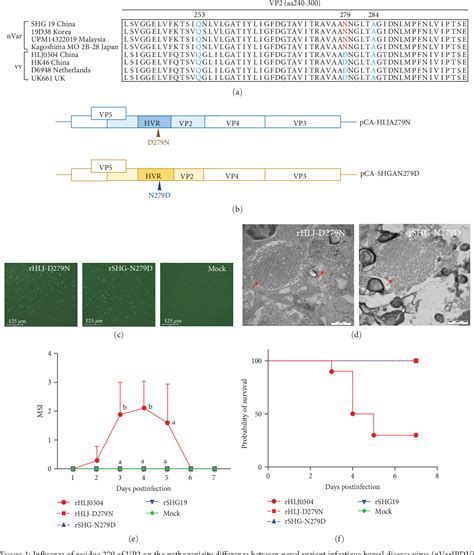 Figure 1 From A Single Mutation Of Vp2 Is Responsible For The Lethality