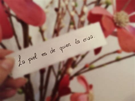 La Piel Es De Quién La Eriza Flor De Loto Frases Piel