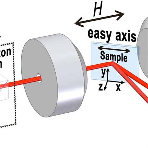 The Pump Probe Experimental Geometry Download Scientific Diagram