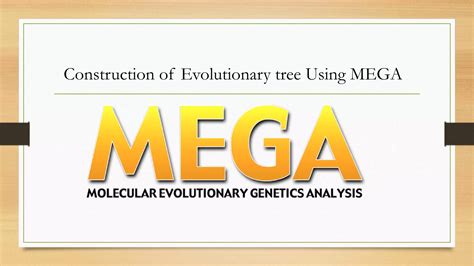 Mega Molecular Evolutionary Genetics Analysis Pdf