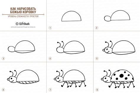 Как нарисовать божью коровку карандашом ребенку