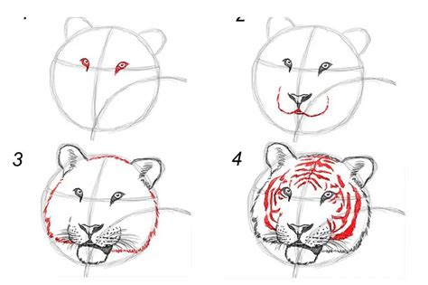 როგორ დავხატოთ ვეფხვი 23 ვარიანტი ყველაფერი ტატუების შესახებ