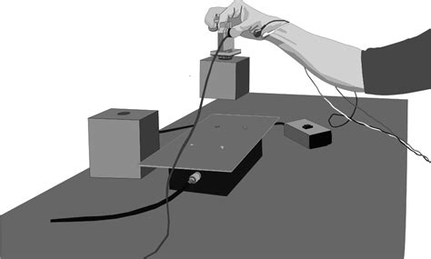 Independence Of Perceptual And Motor Processes In Motor Imagery Authorea