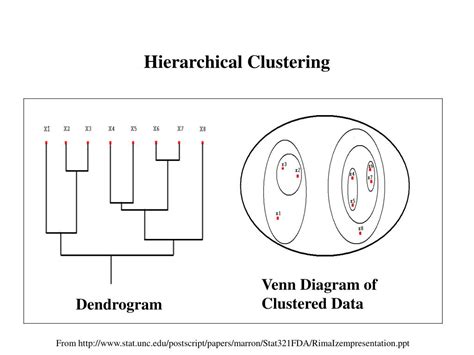 PPT Introduction To Hierarchical Clustering Analysis PowerPoint Presentation ID