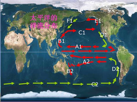 太平洋的洋流分布【精品】文档pptword文档在线阅读与下载无忧文档