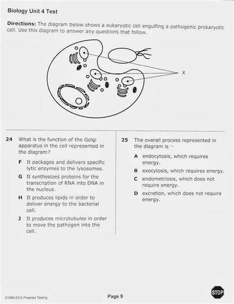 Cracking The Code Biology Unit 2 Test Answers Revealed
