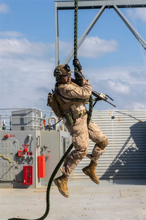 Dvids Images 31st Meu Conducts Vbss Training Image 1 Of 10