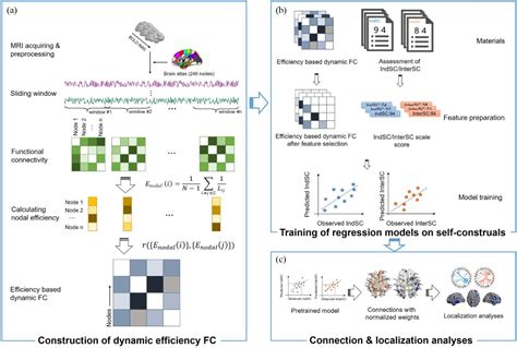 Figure 1 From Investigating Neural Substrates Of Individual Independence And Interdependence