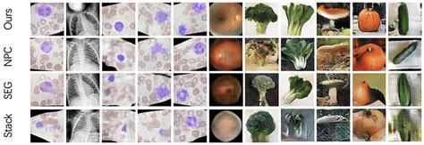 Examples Of Generated 256 256 Images Stack Denotes StackGAN