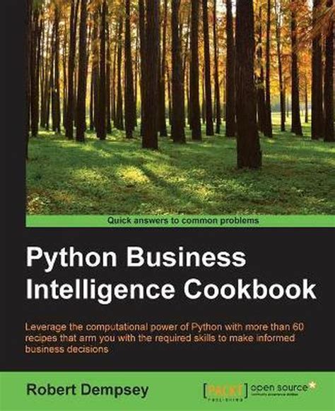 Python Business Intelligence Cookbook 9781785287466 Robert Dempsey Boeken Bol