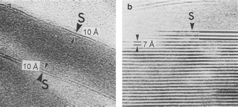 Hrtem Images Showing Smectite Layer S As A Cover Layer On Kaolinite Download Scientific