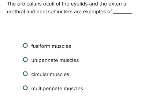 Solved The Orbicularis Oculi Of The Eyelids And The External