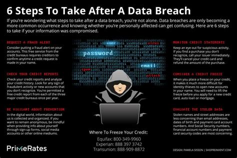 Infographic What To Do After A Data Breach PrimeRates
