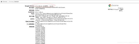 解决monexceptionswebdriverexception Message Chromedriver Executable Needs To Be