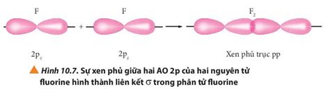 Sự Xen Phủ Giữa Hai Orbital P Trong Trường Hợp Nào Sẽ Tạo Thành Liên Kết Sigma