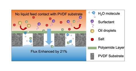 Polyamide Thin Film Composite Janus Membranes Avoiding Direct Contact Between Feed Liquid And