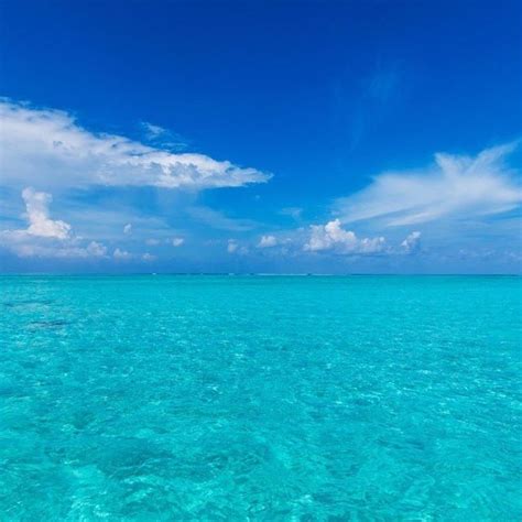 Ch S Manideep Reddy Mandy Onthefly • Threads Say More