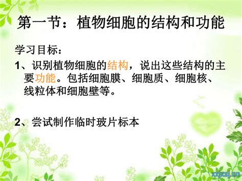 [生物]植物细胞结构和功能课件 课件下载预览 二一课件通