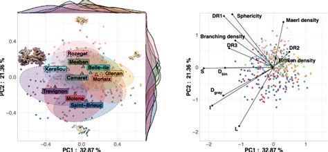 Principal Component Analysis Pca Of Standardized Box Cox Transformed