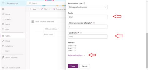 Building A Canvas App Which Using Dataverse For Authentication