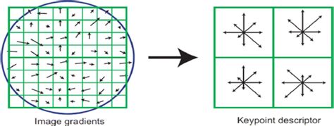 Computation Of Keypoint Descriptor Download Scientific Diagram