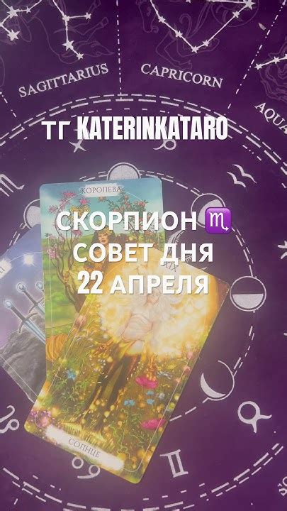 СКОРПИОН ♏️ СОВЕТ ДНЯ 22 АПРЕЛЯ весы таро Tarot гороскоп 100 Reels рек карты картытаро