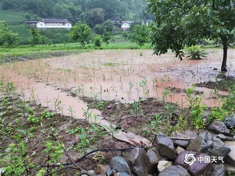 四川凉山美姑县遭遇强降雨 水位暴涨房屋损毁道路中断 天气图集 中国天气网