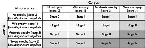 Gastritis Staging In Clinical Practice The Olga Staging System Gut