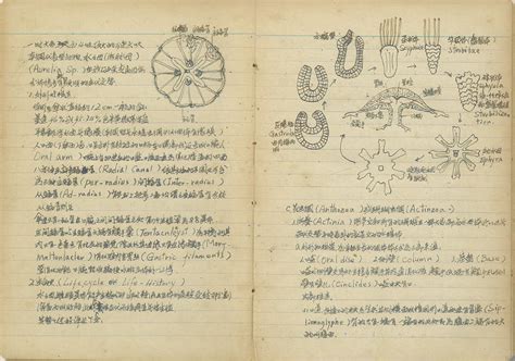我国当代教育名家生物学教材主编朱正威先生纪念图片展