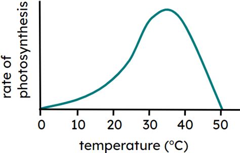 Factors Affecting The Rate Of Photosynthesis Foundation Edexcel Ks4 Y11 Biology Lesson