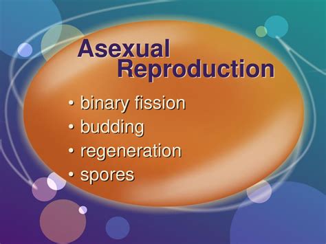 Cells Have Membranes Have Cytoplasm And Organelles Ppt Download