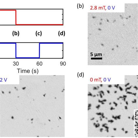 A Schematic Of Applied Magnetic Field And Voltage Sequence Times Download Scientific Diagram