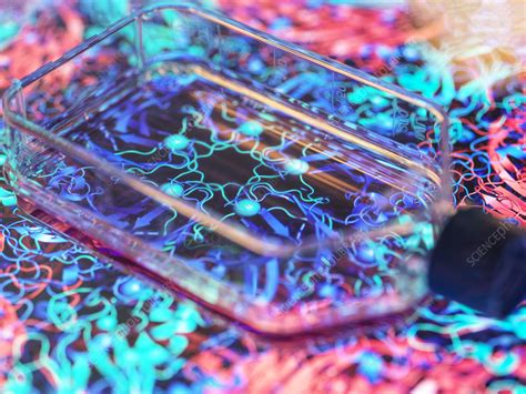 Infectious Disease Research Conceptual Image Stock Image F042 1244 Science Photo Library