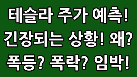 테슬라 주식 주가 전망 Tsll 삼슬라 Tqqq Soxl Tmf 타이거 Tiger 차이나 전기차 Solactive 아이온큐 니콜라 루시드 팔란티어 Tsly 중요 이슈 임박