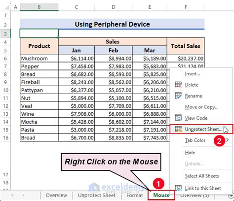 Unprotect Excel Sheet Complete Guideline Exceldemy