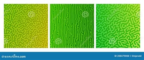 Turing Reaction Diffusionseamless Pattern With Chaotic Motion Vector