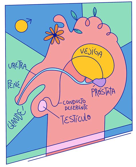 Sex Education Illustrations Behance