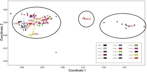 Non Metric Multidimensional Scaling Nmds Plot Using Euclidean Download Scientific Diagram
