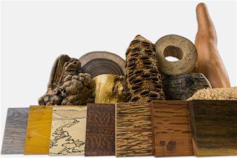 Teak The Wood Database Hardwood