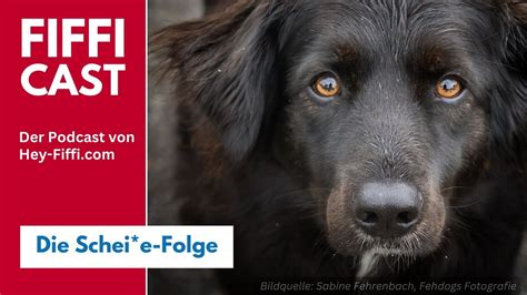 Die Scheie Folge Youtube