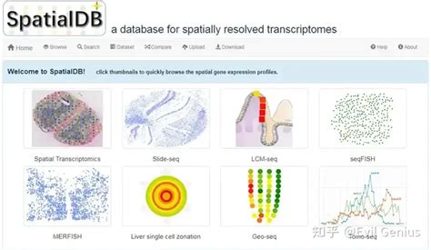 空间转录组数据库汇总空间转录组免代码在线分析网站肝癌 Csdn博客