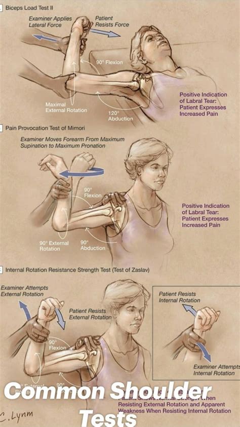 Common Shoulder Tests Massage Therapy Physical Therapy Shoulder Rehab