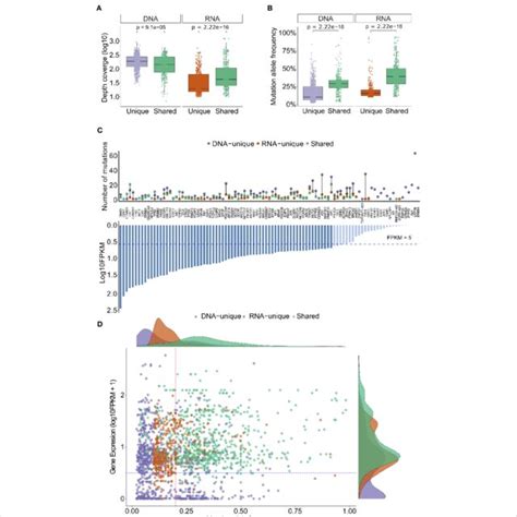 Depth Coverage Mafs And Gene Expression Levels Of Variants From Dnaseq