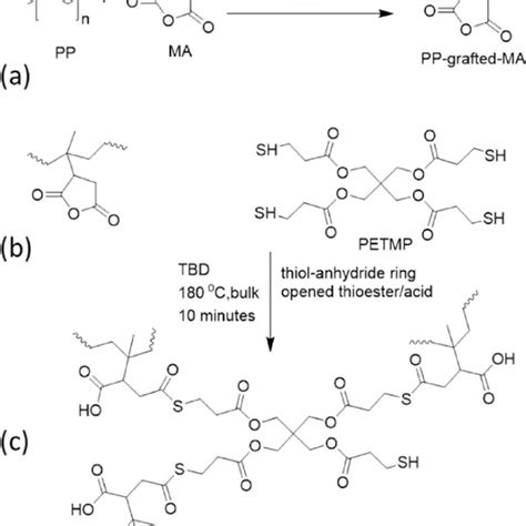 Schematic Reactive Extrusion Setup With Feeding Arrangement Download Scientific Diagram